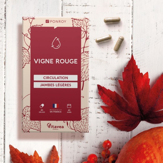 Vigne rouge - Circulation sanguine | PONROY
