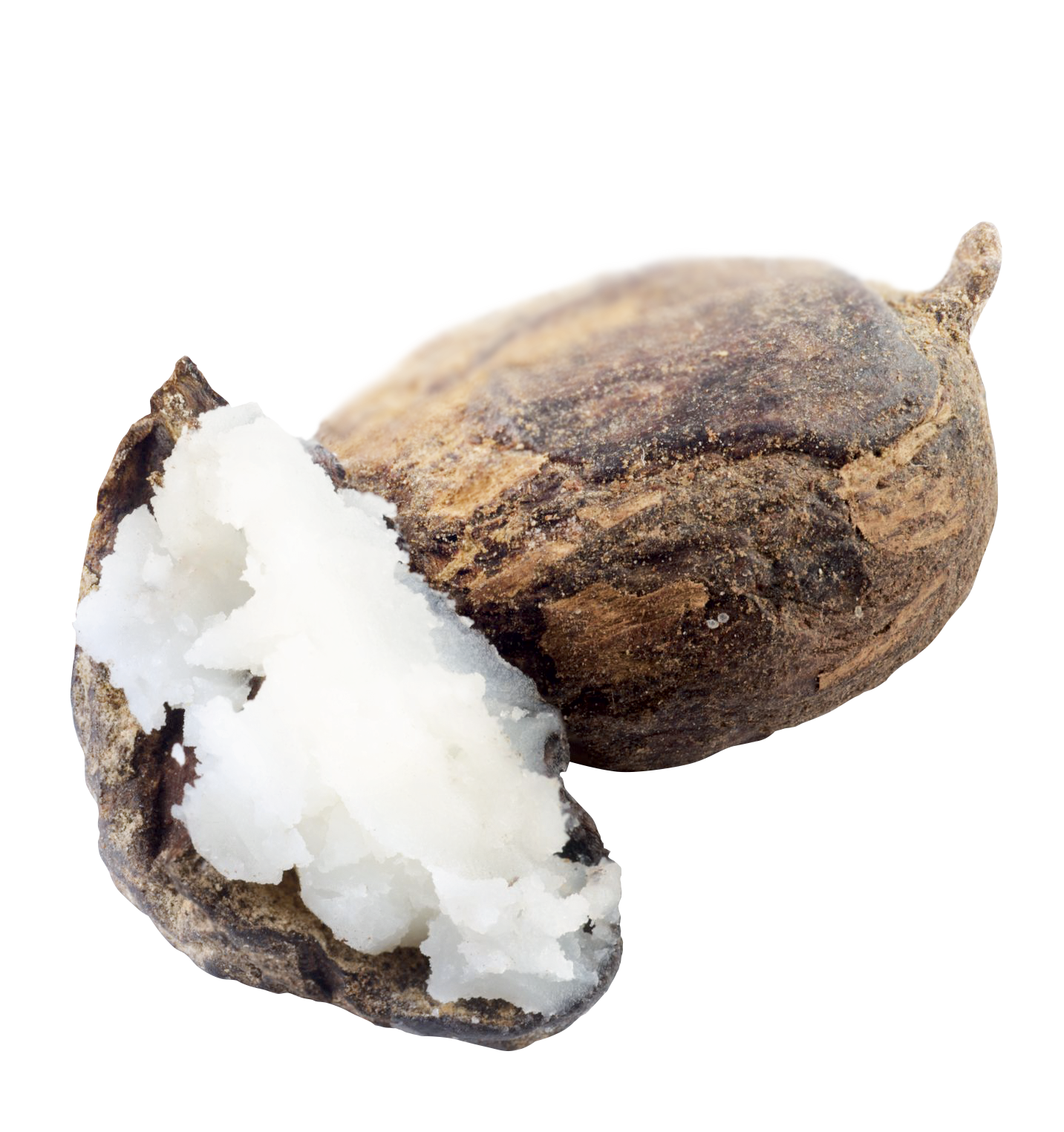 Le rôle régénérateur du beurre de karité | PONROY